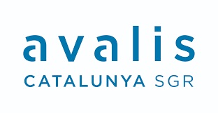 Avalis otorga 203,2 millones de euros en avales durante 2024 y ...